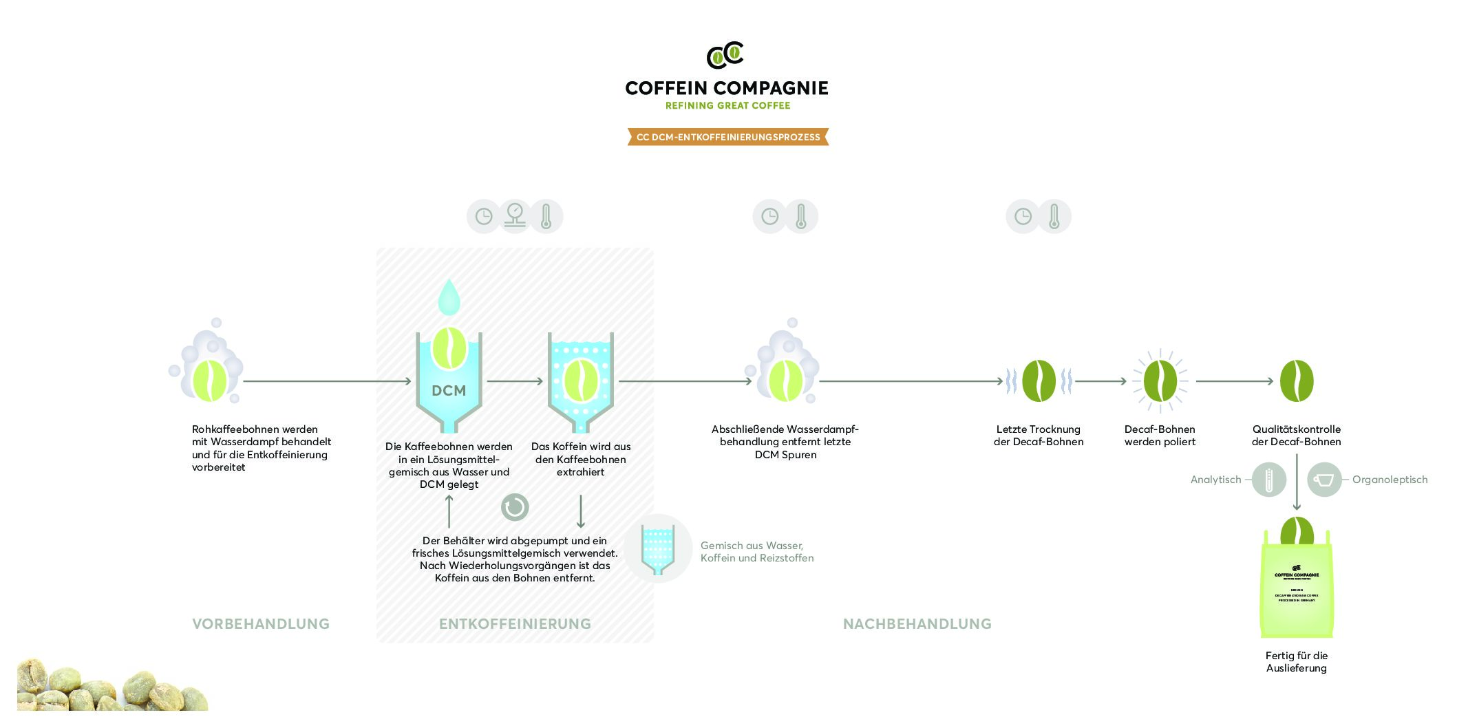 CC_Infographics_DCM_V2_DE | Coffein Compagnie